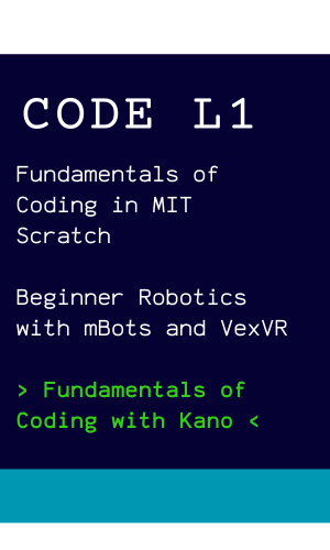 Computer Programming – Thinking Feet
